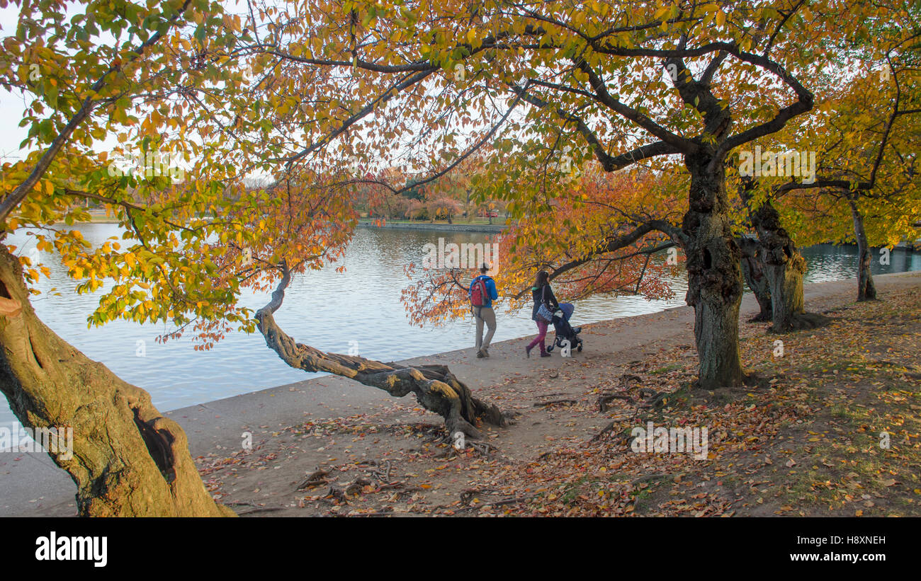 Tidal foliage hi-res stock photography and images - Alamy