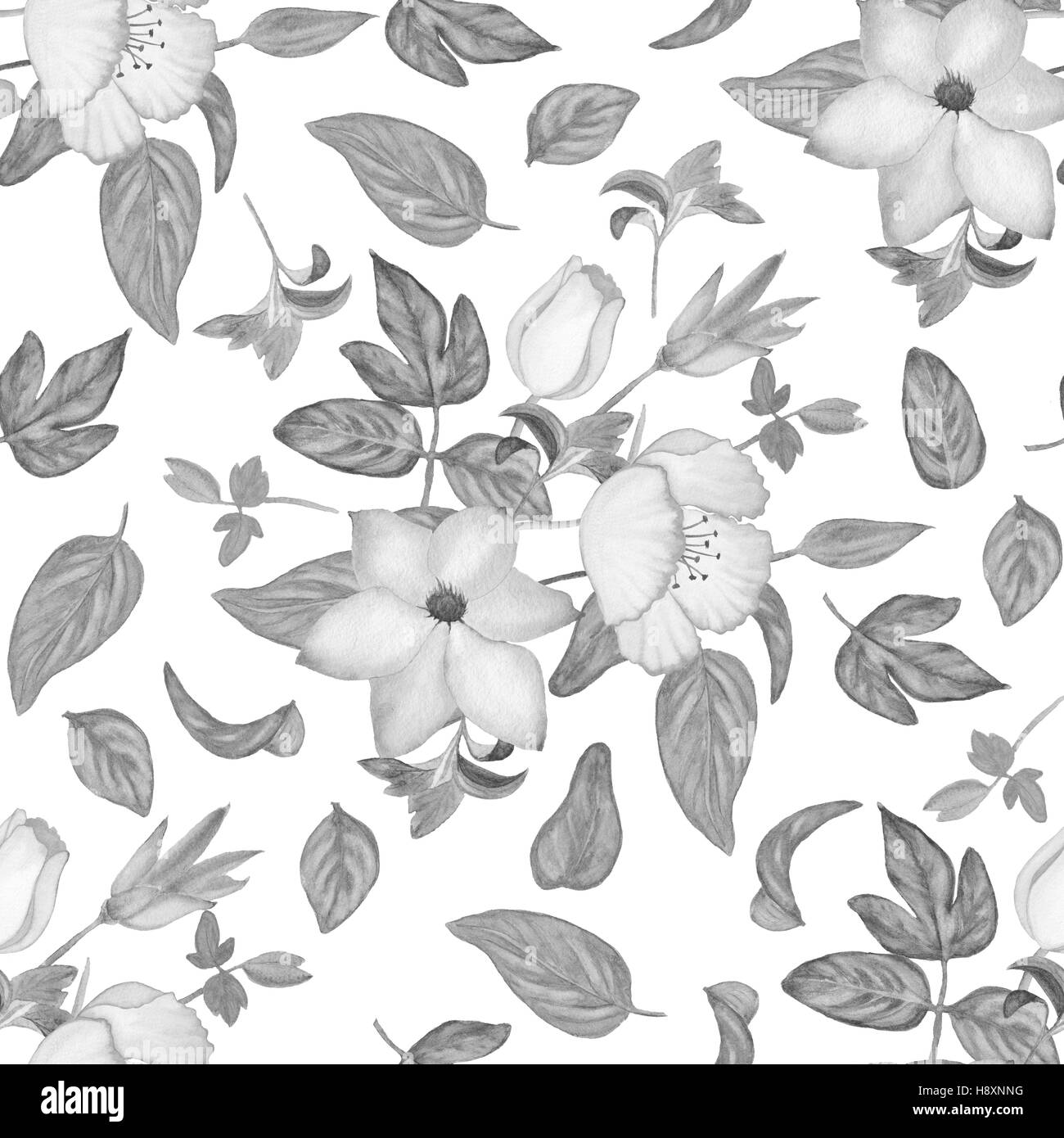 Watercolor leaves Black and White Stock Photos & Images - Alamy