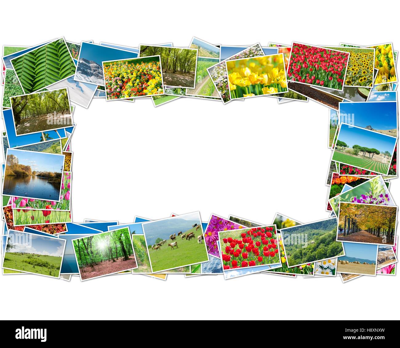 Frame made of various nature photos Stock Photo - Alamy