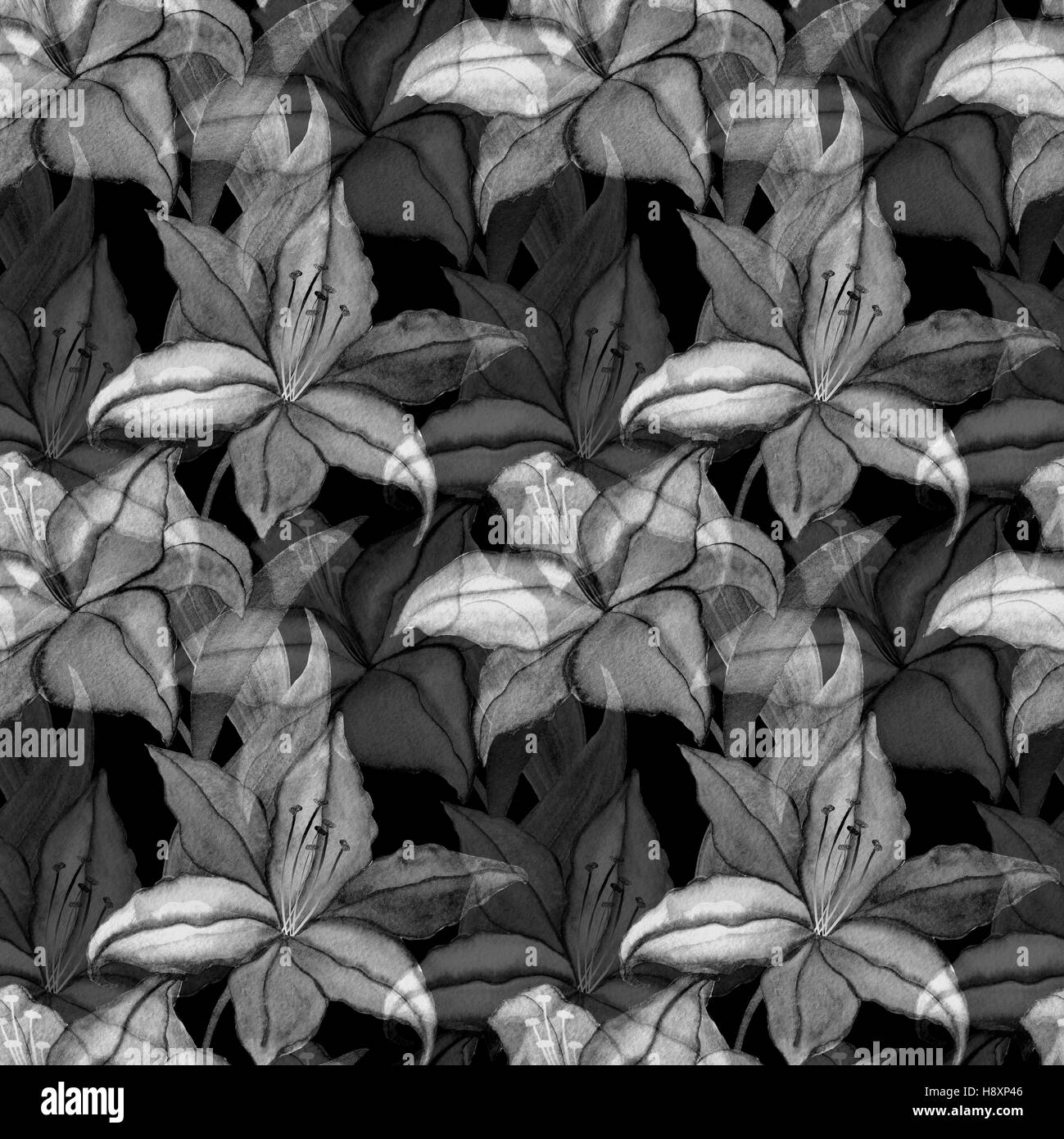 Lilly flower graphic Black and White Stock Photos & Images - Alamy
