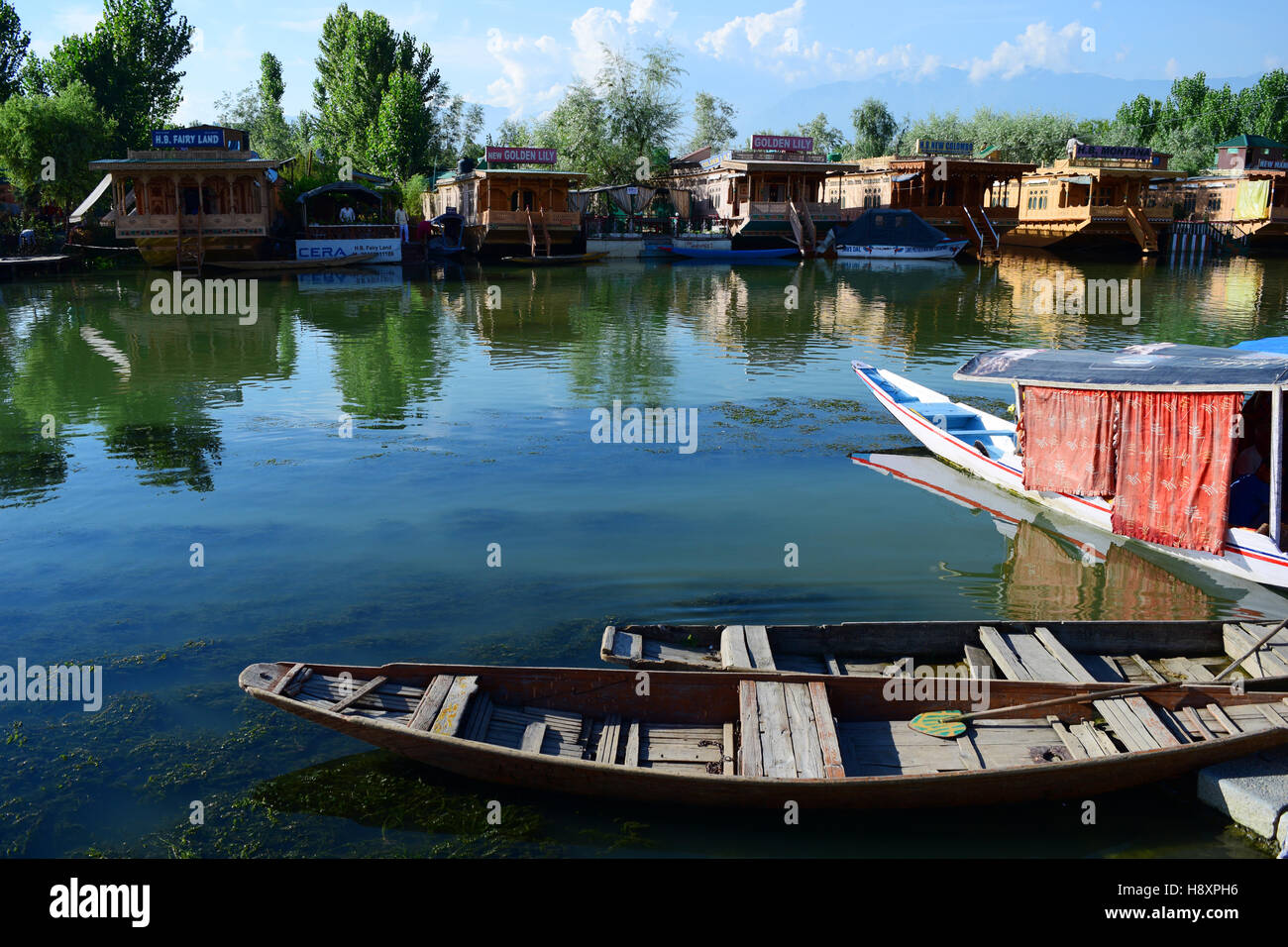 Shikara Boat ride in Dal lake of Srinagar in Kashmir valley India Stock ...