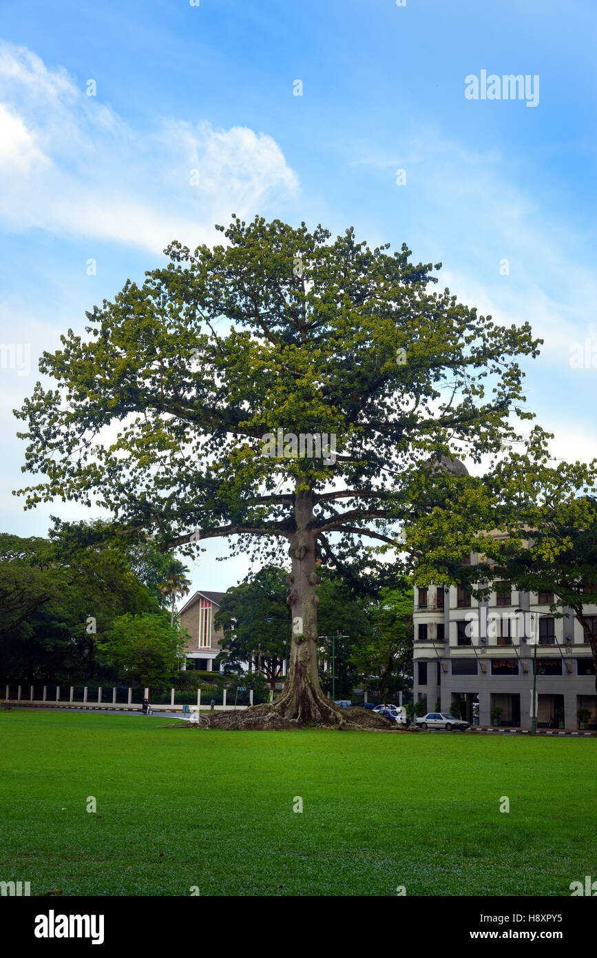 Kuching merdeka square hi-res stock photography and images - Alamy