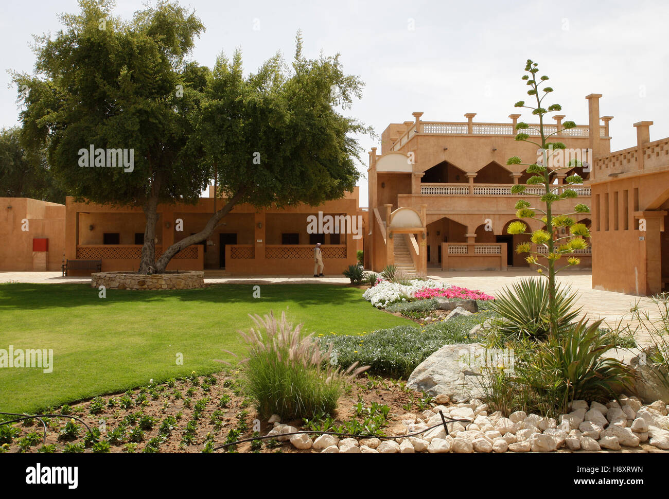 Sheikh Zayed House