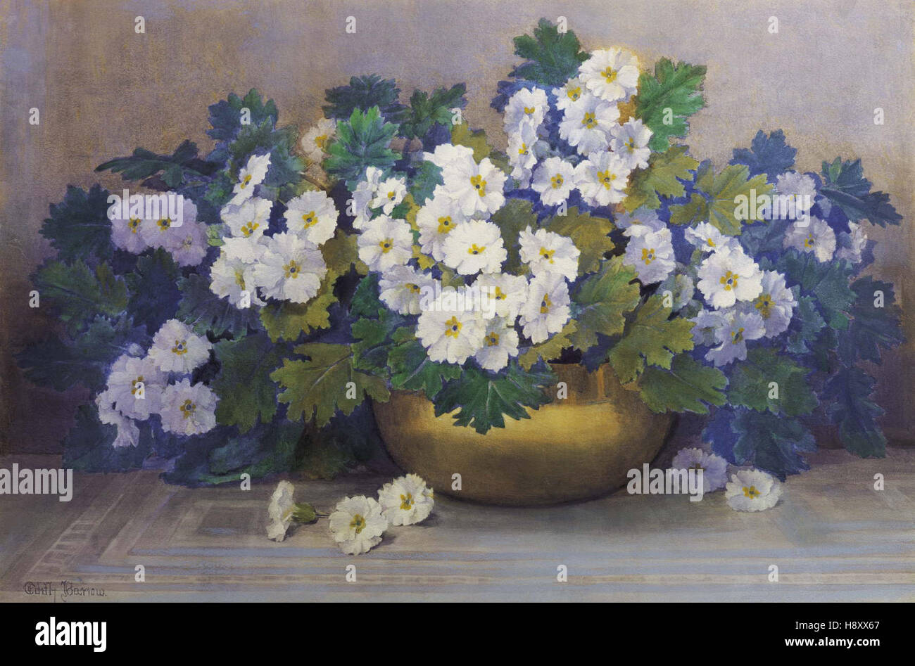 Edith Barrow A Bowl of Primulas Stock Photo - Alamy