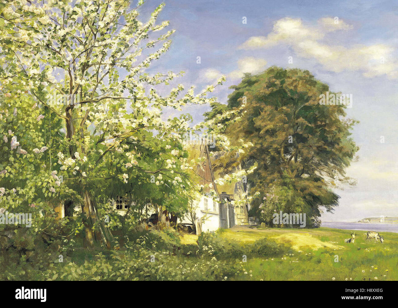 Darling buds may hi-res stock photography and images - Alamy