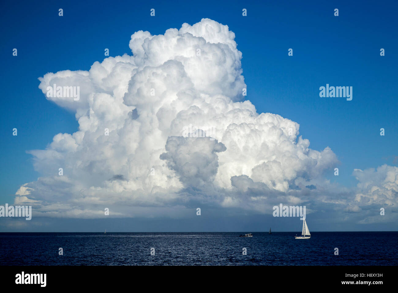beautiful cumulus cloud over ocean weather and travel background Stock ...