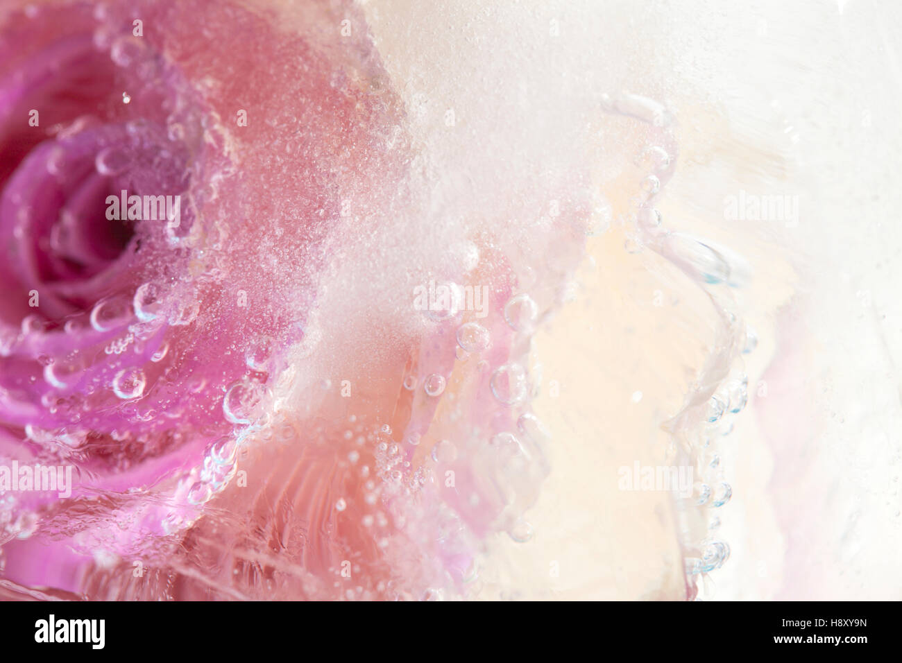 frozen flora art background Stock Photo - Alamy