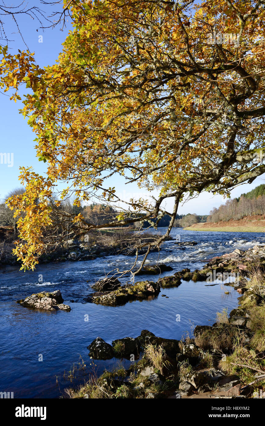 Autumn on the river Dee at Potarch Bridge in Royal Deeside ...