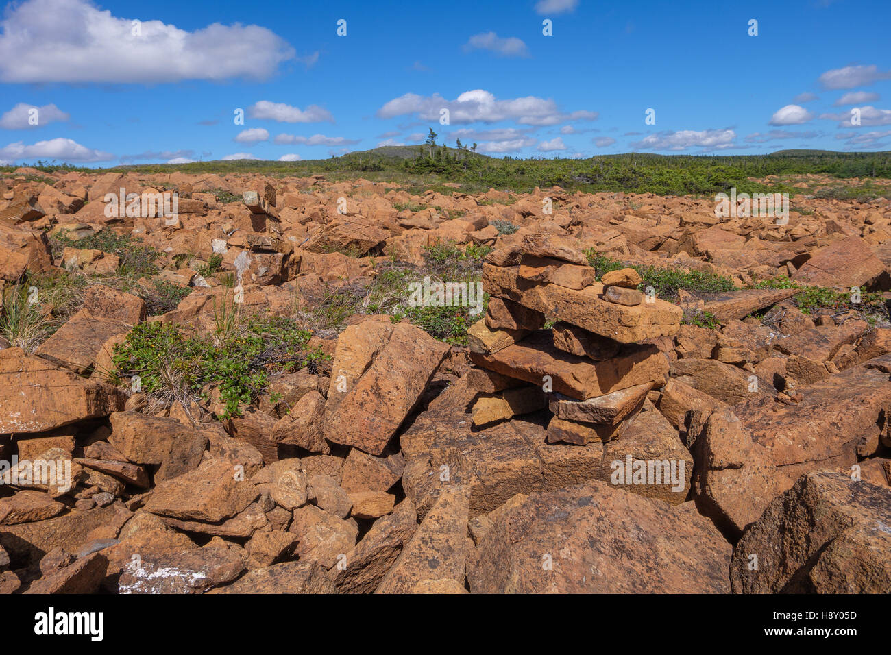 Rocky plain with brownish red rocks Stock Photo - Alamy