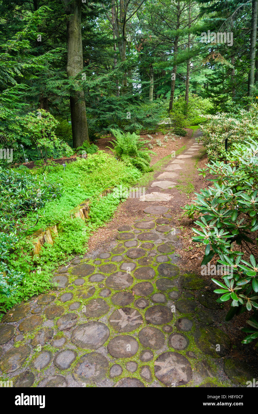 Trail made of rocks and tree trunk slices through a forest at Montreal ...