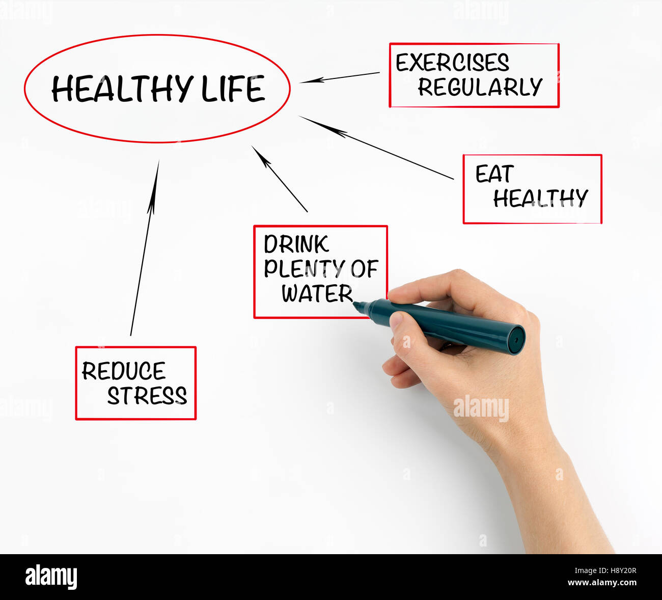 Diagram of healthy life Stock Photo - Alamy