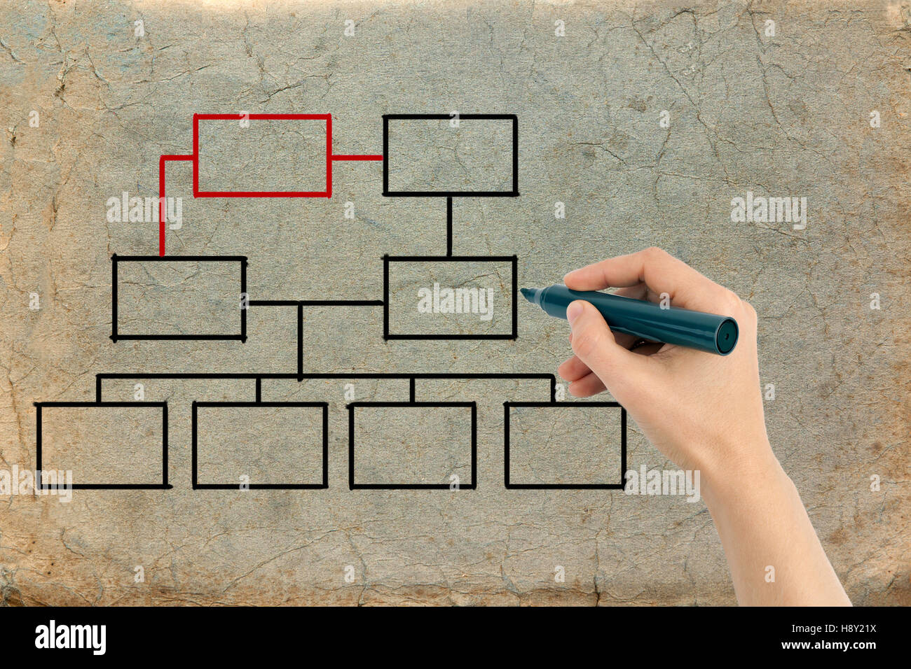 hand drawing an organization chart on a old paper Stock Photo - Alamy