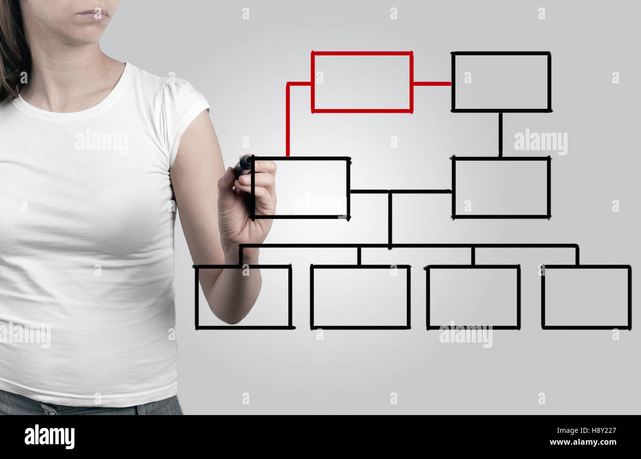 hand drawing an organization chart on a gray board Stock Photo - Alamy