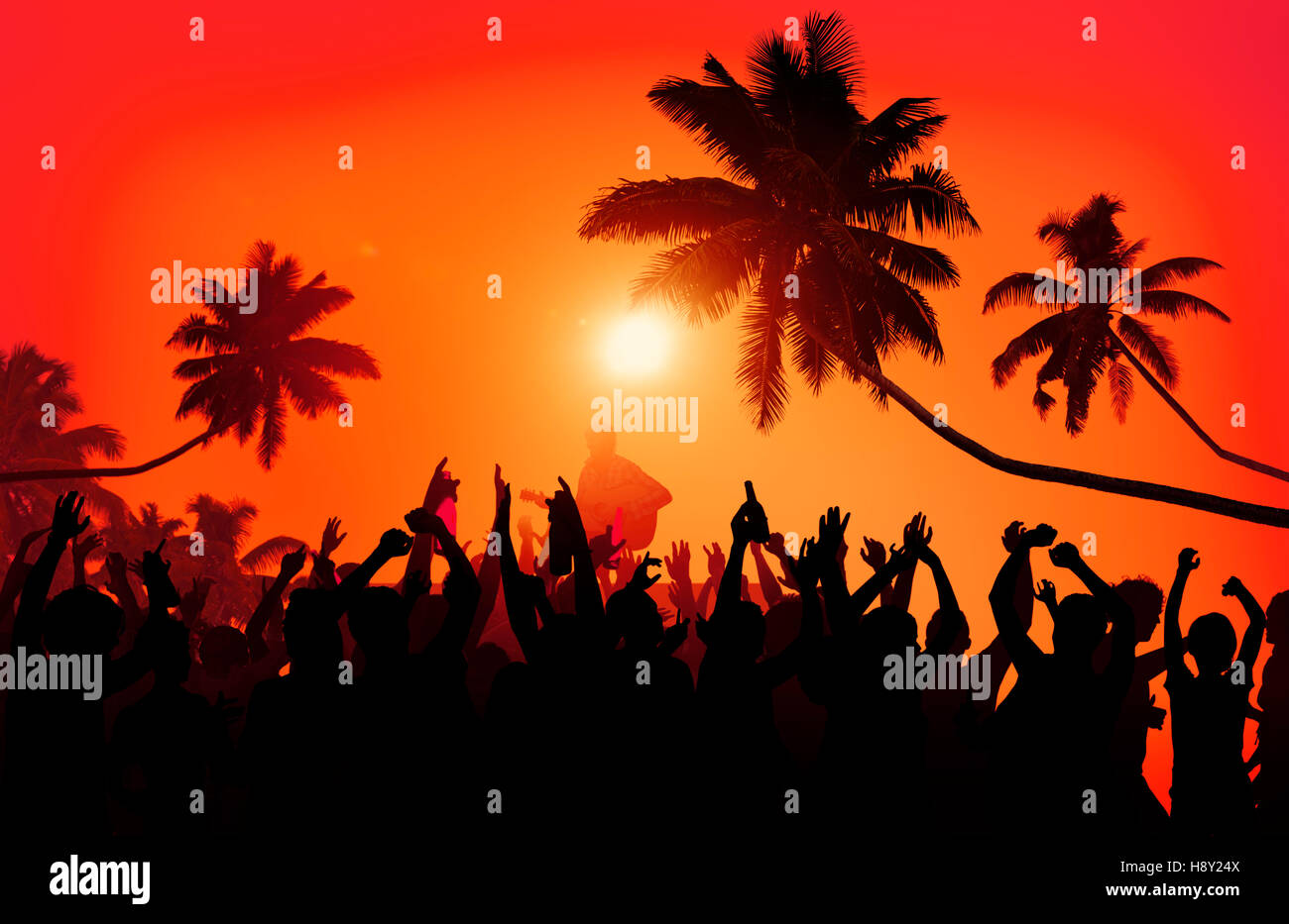 Summer Music Festival Beach Party Performer Excitement Concept Stock ...