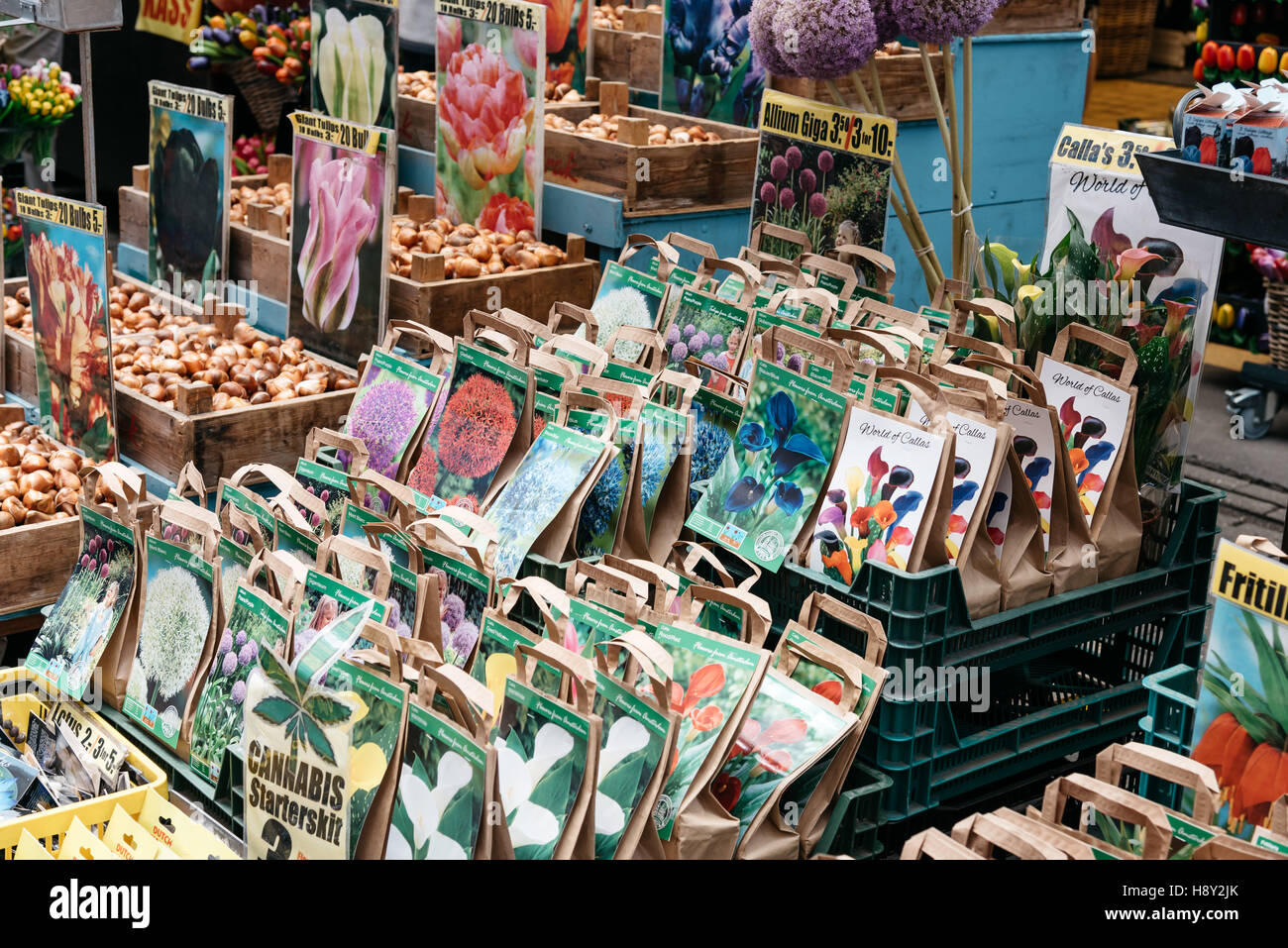 Marijuana seed shop hi-res stock photography and images - Alamy