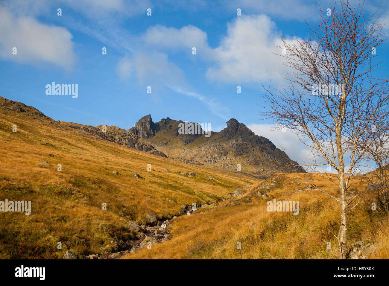 Looking up towards the The Cobbler mountain in the Arrochar Alps ...