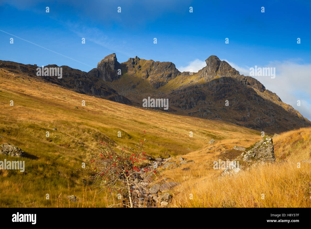 Looking up towards the The Cobbler mountain in the Arrochar Alps ...
