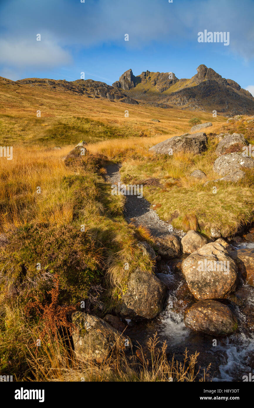 Looking up towards the The Cobbler mountain in the Arrochar Alps ...