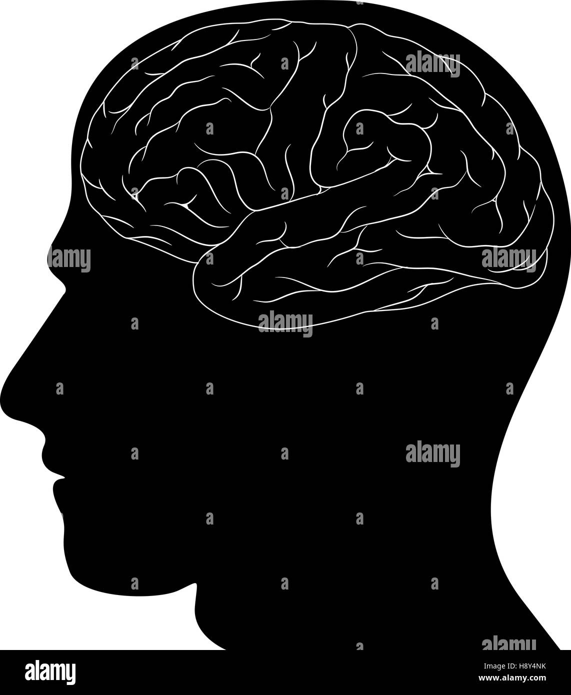 Head and Brain Stock Vector Image & Art - Alamy