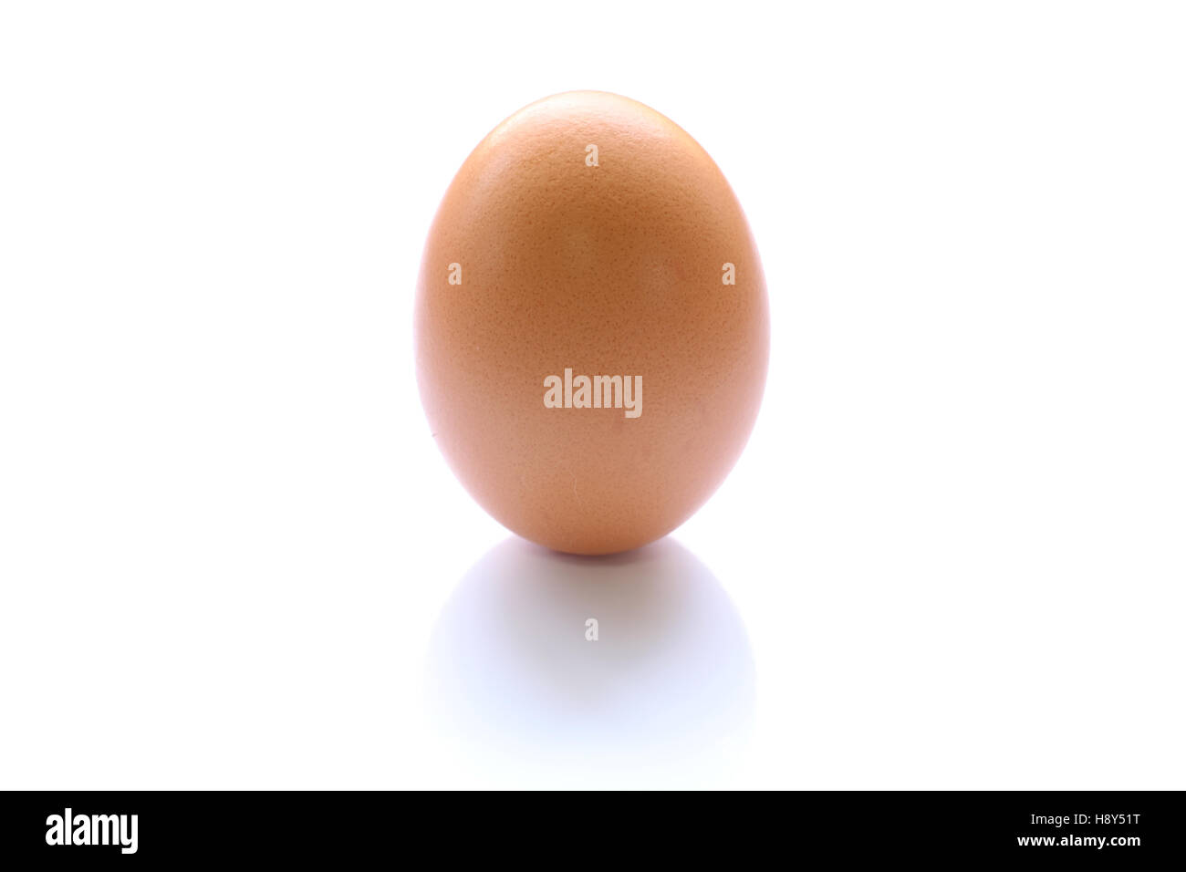 brown raw egg shell isolated Stock Photo - Alamy