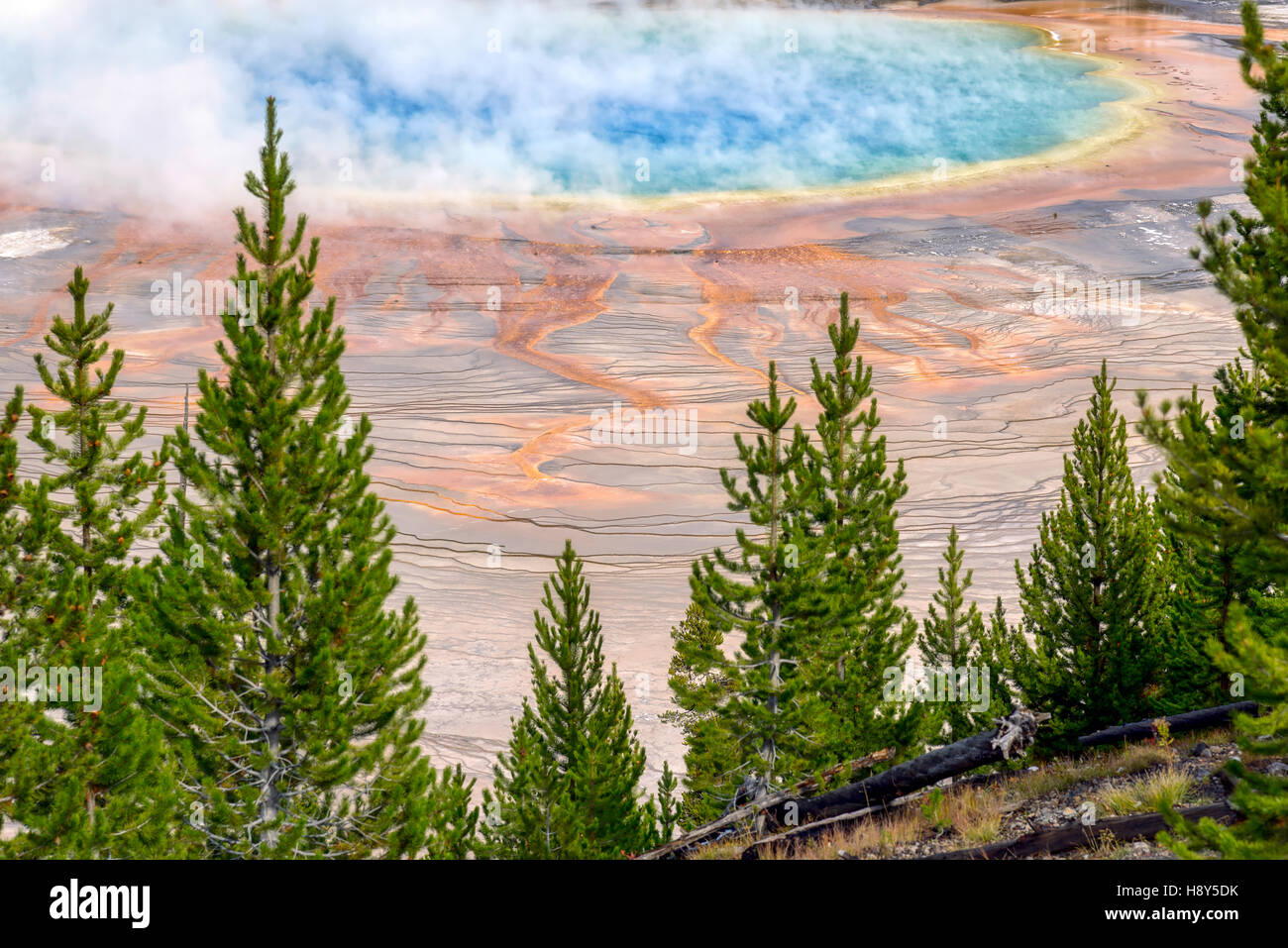 View of the Grand Prismatic Spring Stock Photo - Alamy