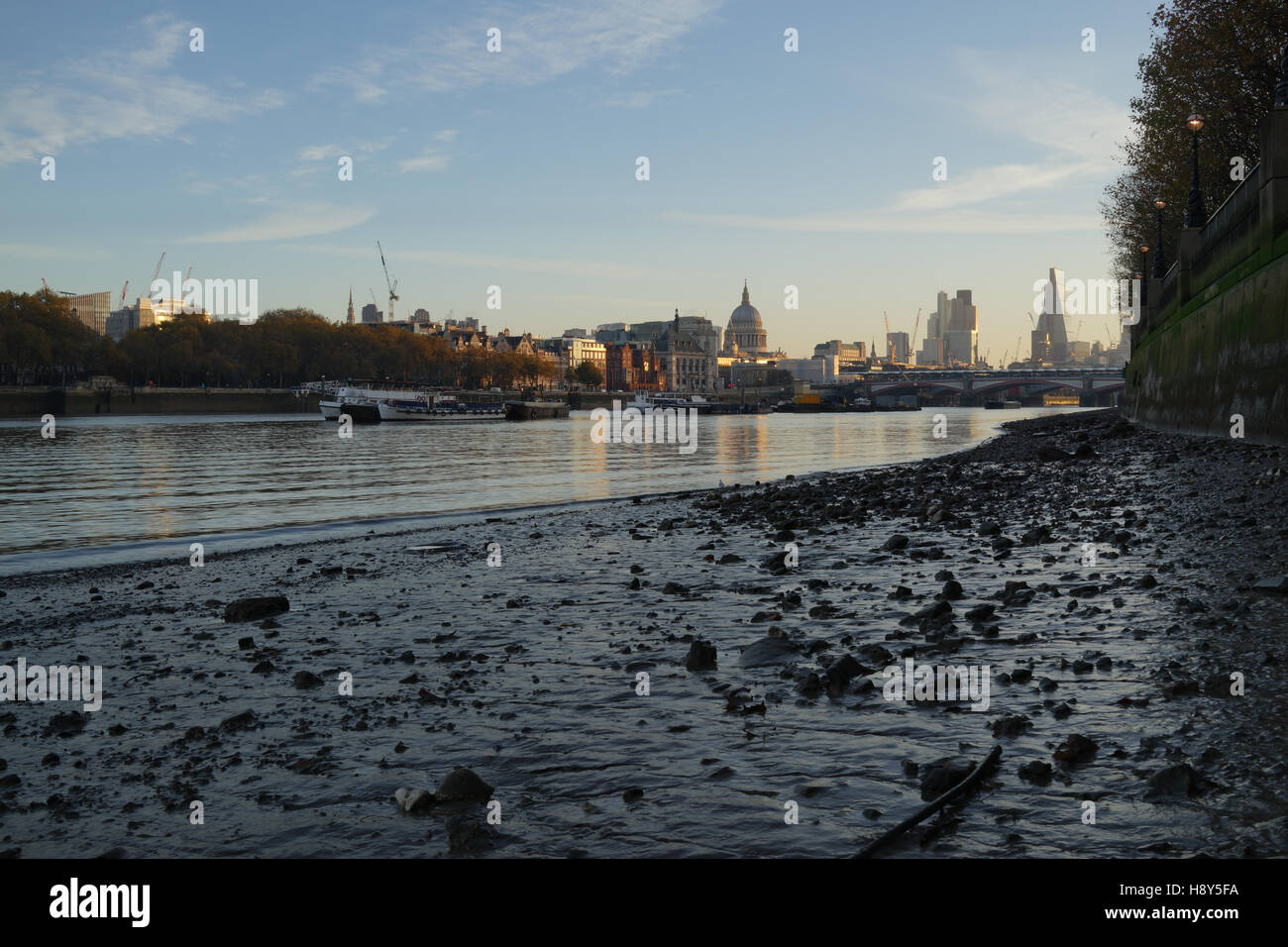 Low river bank trees hi-res stock photography and images - Alamy