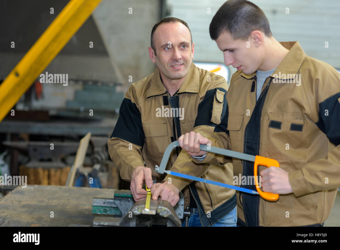 male workers sawing indoors Stock Photo - Alamy