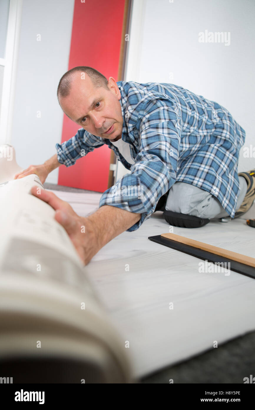 On the carpert hi-res stock photography and images - Alamy