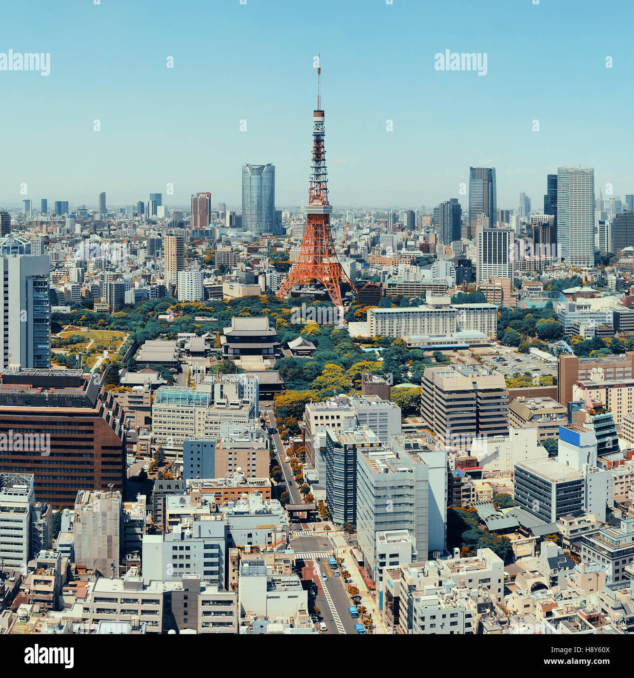 Tokyo Tower and urban skyline rooftop view, Japan Stock Photo - Alamy