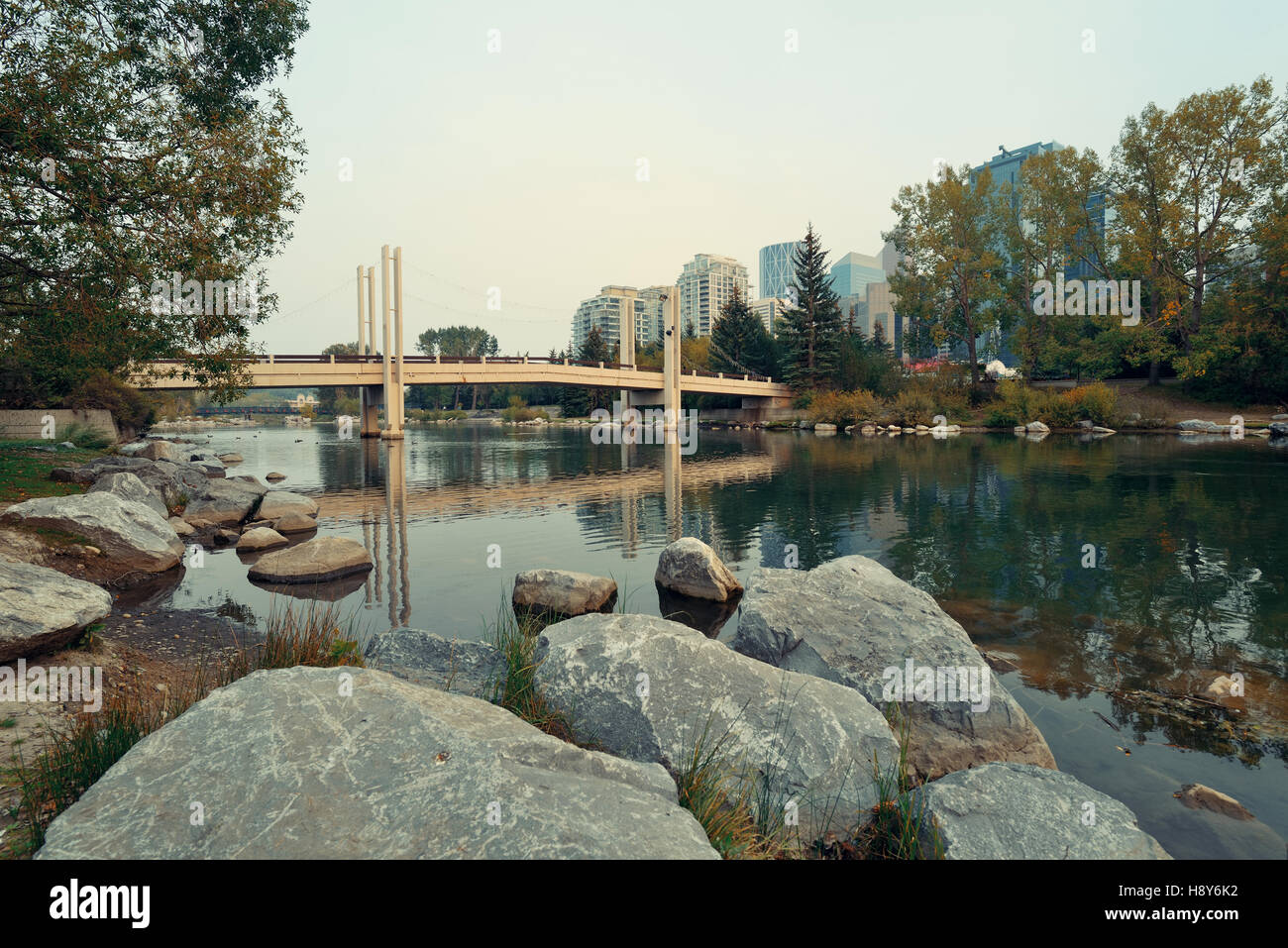 Calgary cityscape from Prince's Island in Alberta, Canada Stock Photo ...