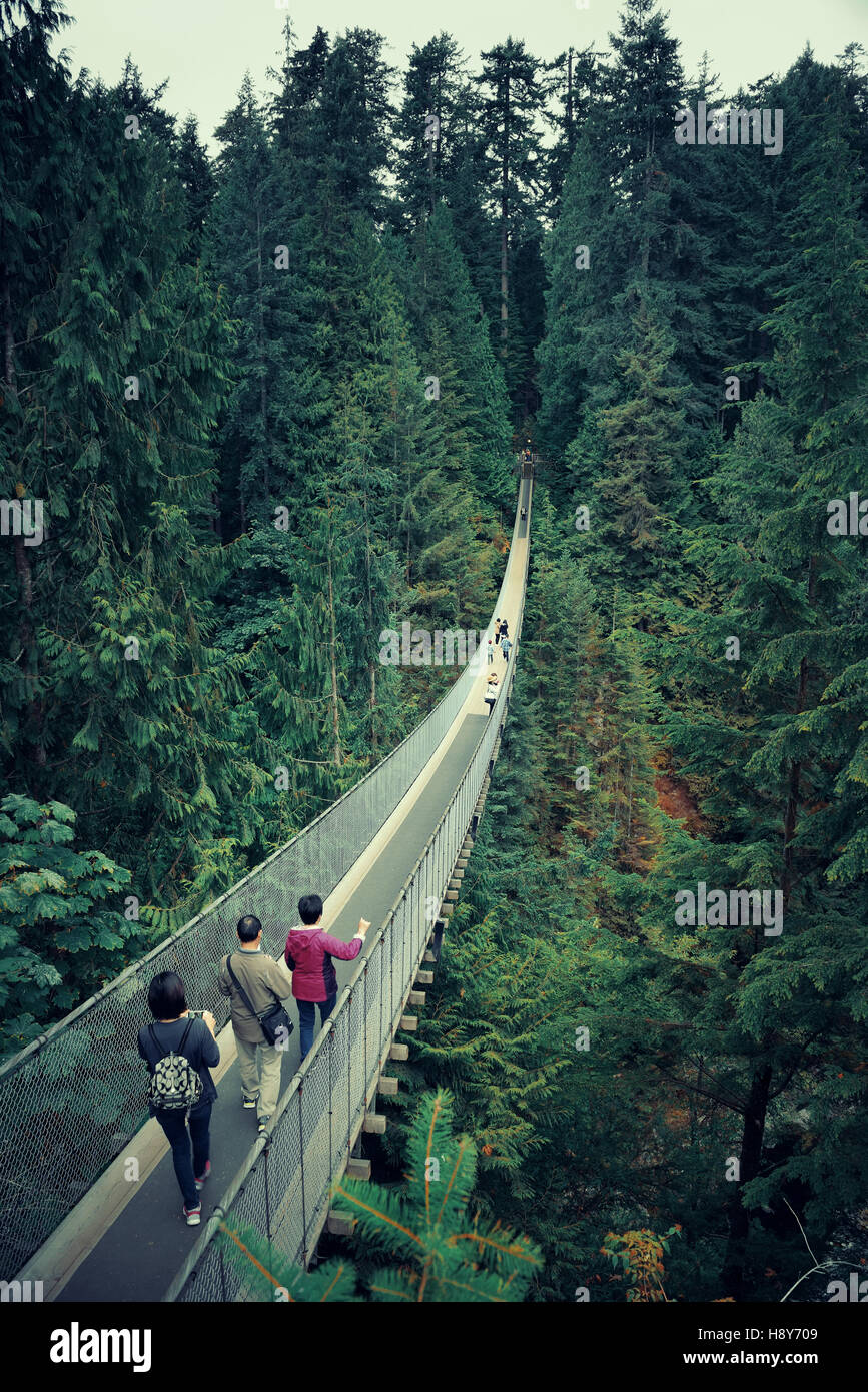 Capilano Suspension Bridge in Vancouver, Canada Stock Photo - Alamy