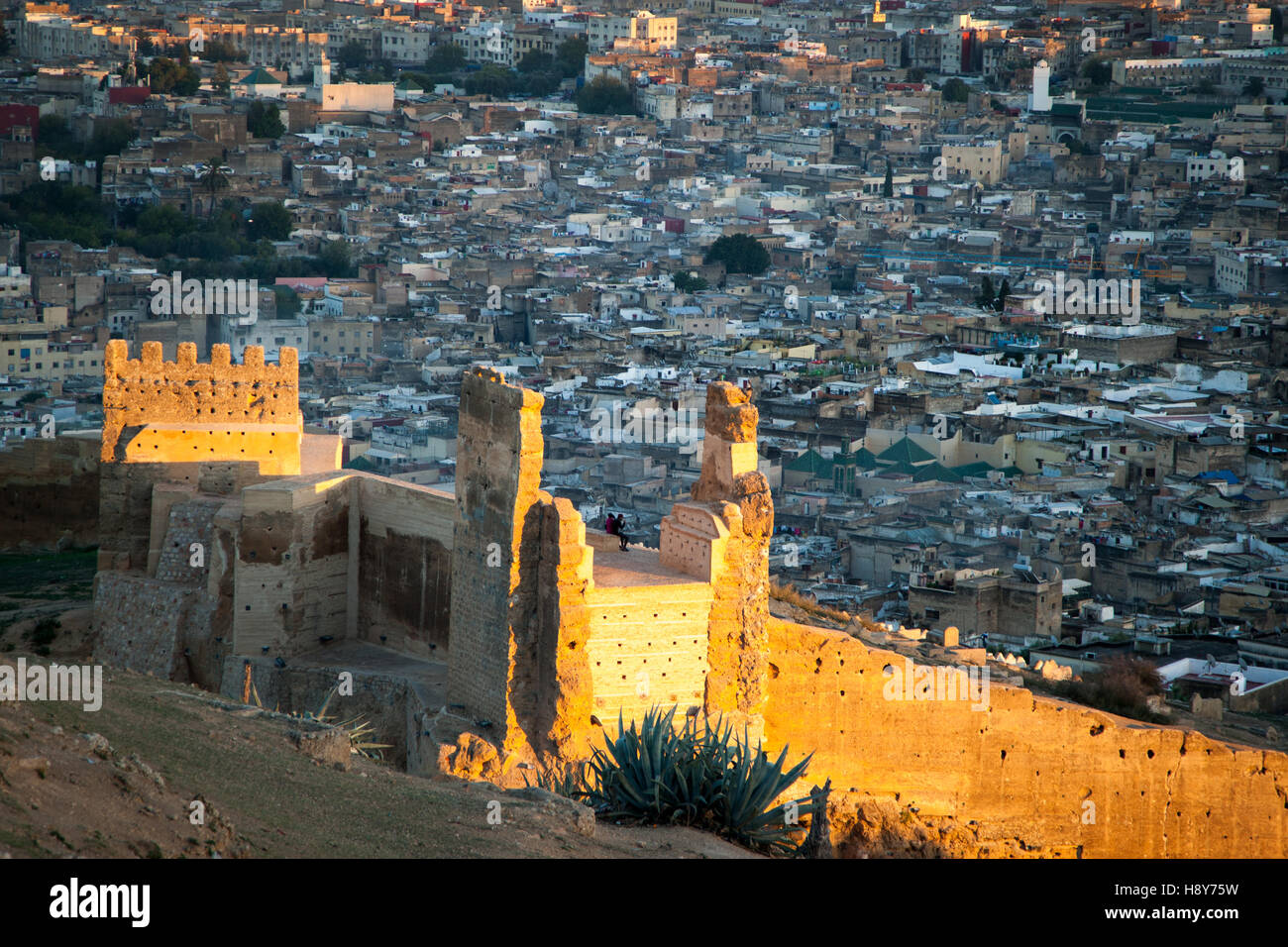 Citycape of Fès from ruins of Marinid Tombs. The old town of Fes ...