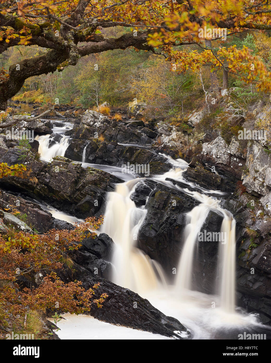 Logie Falls, Contin, Ross and Cromarty, Highland, Scotland Stock Photo ...