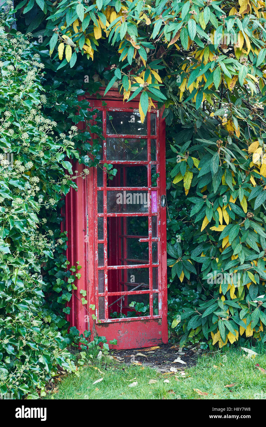 Old broken and overgrown telephone box Stock Photo - Alamy