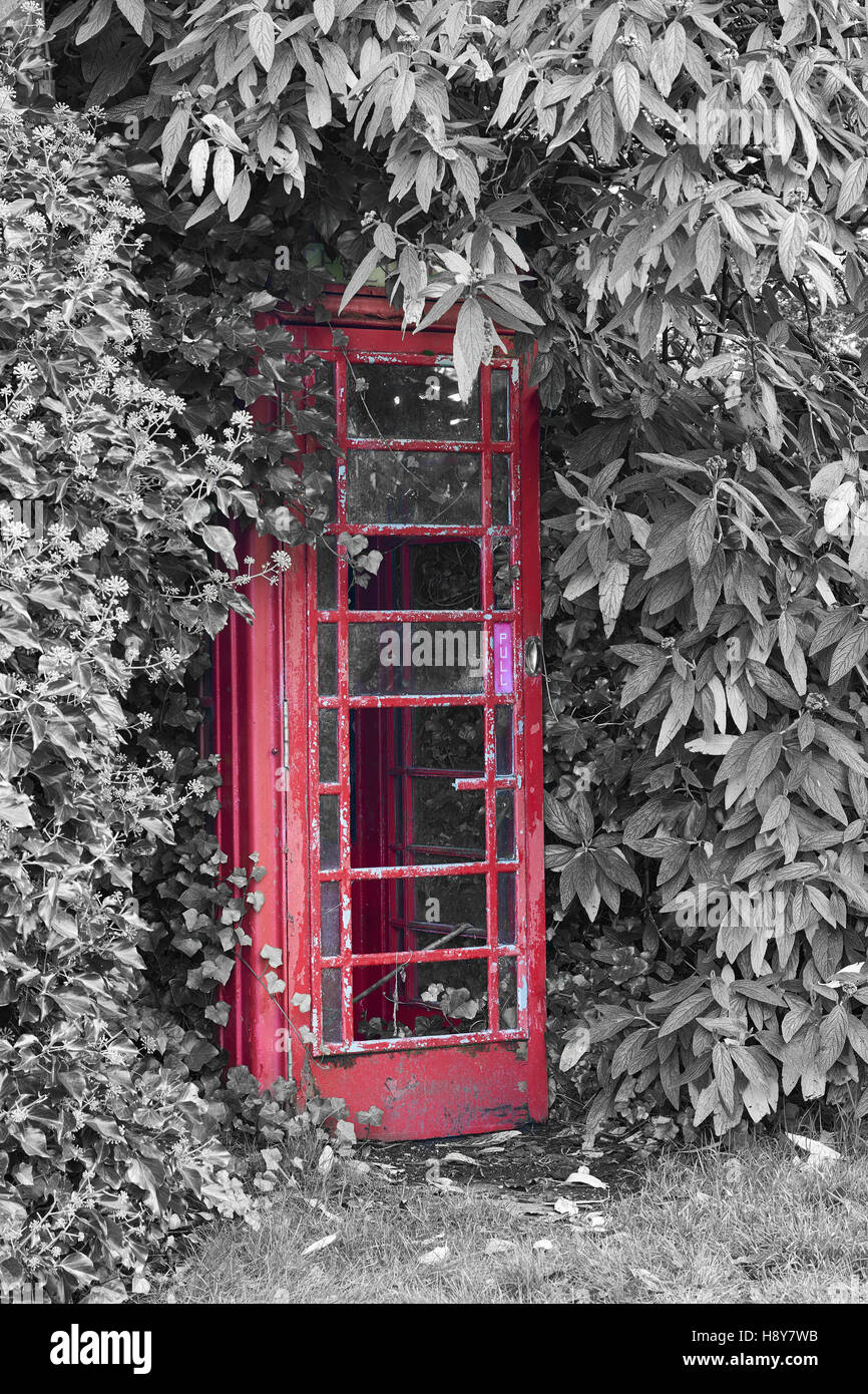 Old broken and overgrown telephone box Stock Photo - Alamy