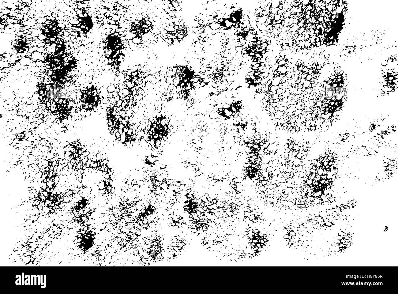 Abstract black sponge stains texture. Design for your brushes and ...