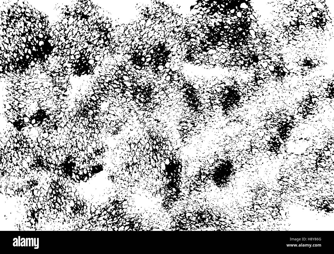Sponge paint wall Black and White Stock Photos & Images - Alamy