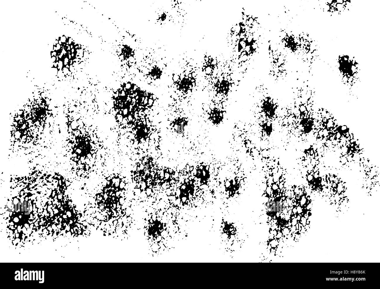 Sponge paint wall Black and White Stock Photos & Images - Alamy