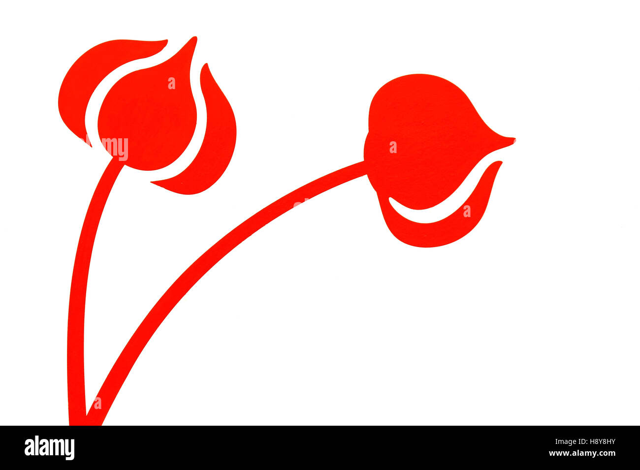 The flower and the wall Cut Out Stock Images & Pictures - Alamy