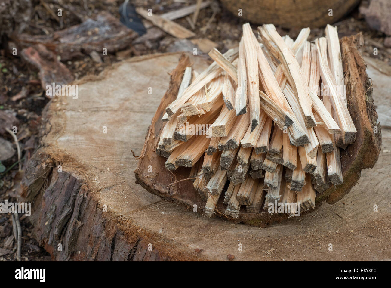 Pile of firewood sticks on a tree stump Stock Photo - Alamy