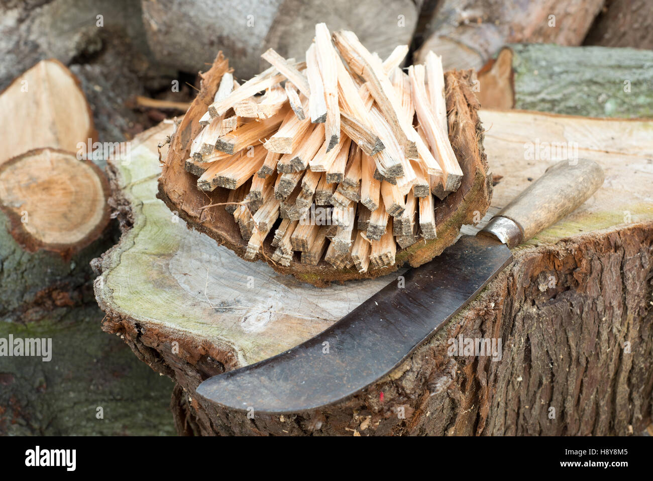 Pile of firewood sticks and a billhook machete on a tree stump Stock ...
