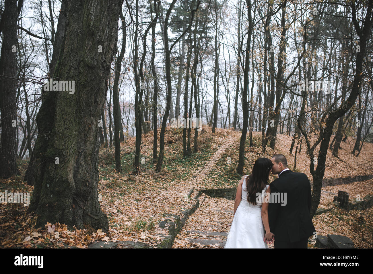 happy bride and groom walking Stock Photo - Alamy