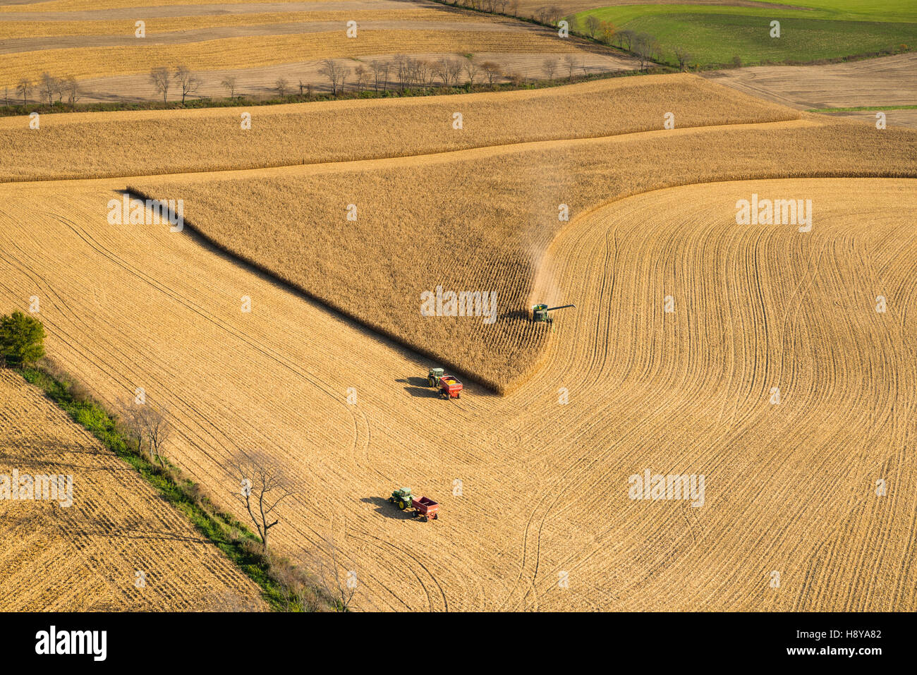 Aerial photograph of corn harvest in rural, southwest Wisconsin Stock ...