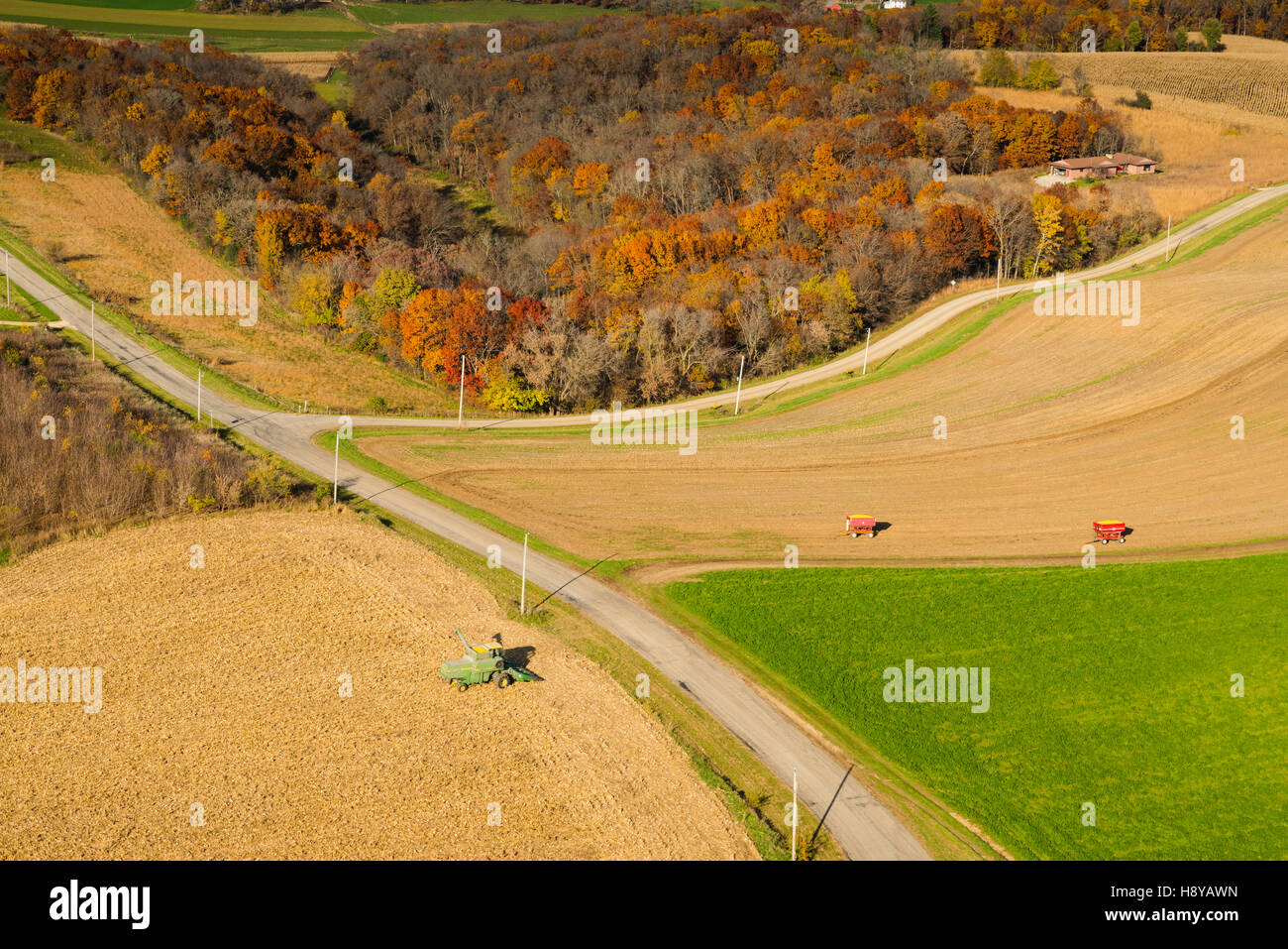 Aerial photograph of corn harvest in rural Wisconsin Stock Photo - Alamy