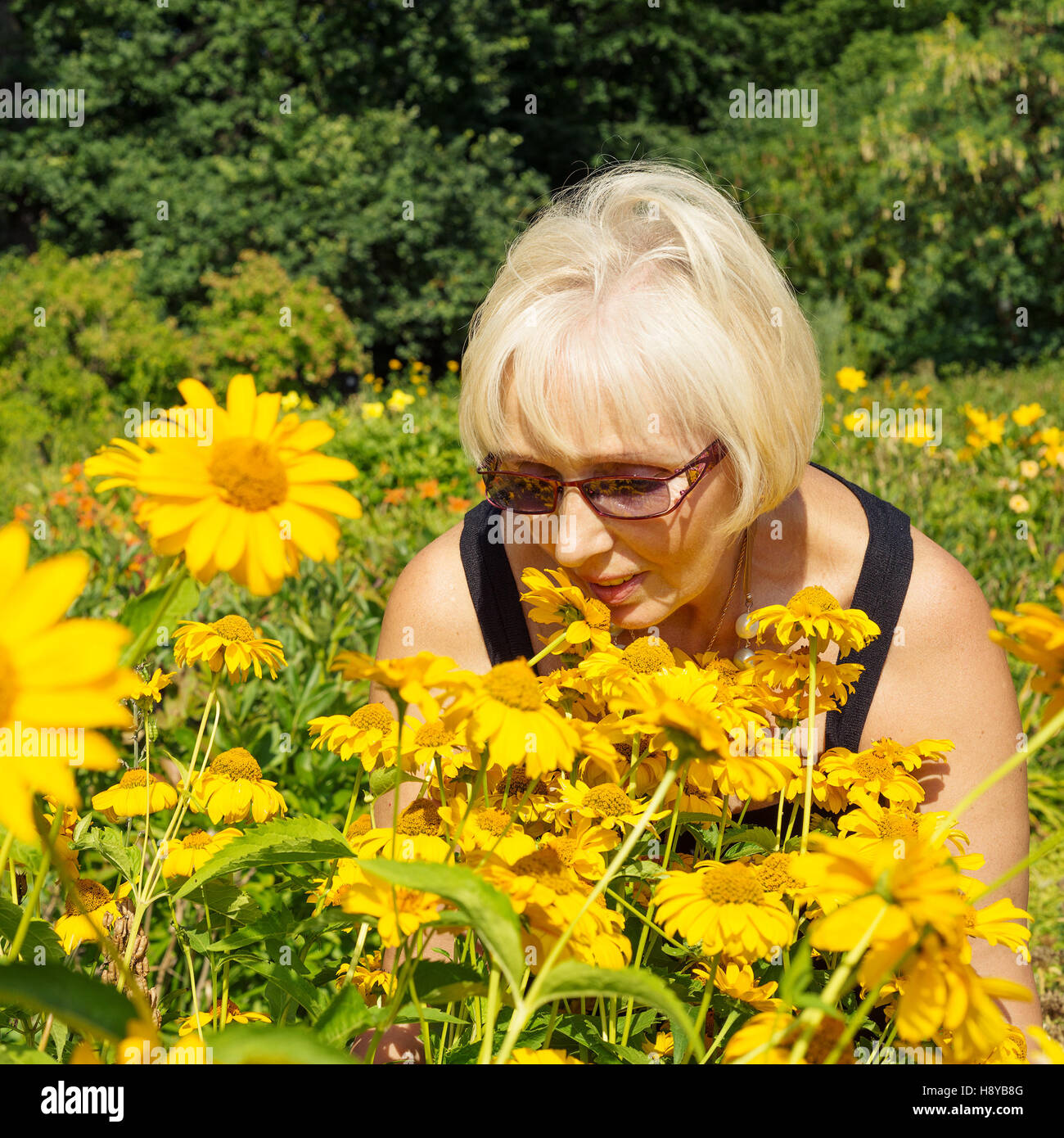 Woman sniffing flowers Heliopsis pensioner in the garden Stock Photo ...