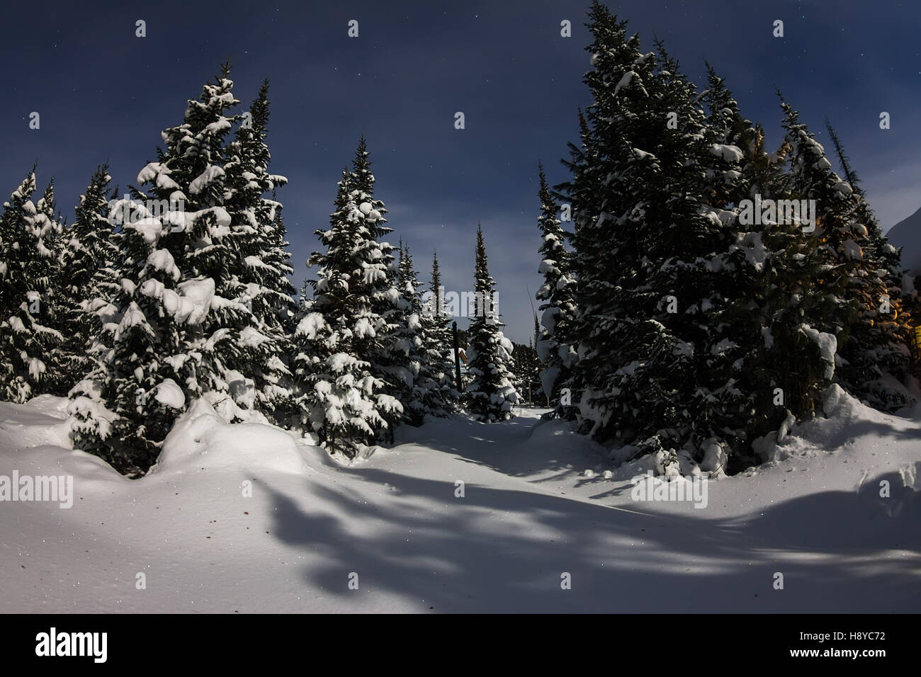 Beautiful winter wonderland moonlight hi-res stock photography and ...