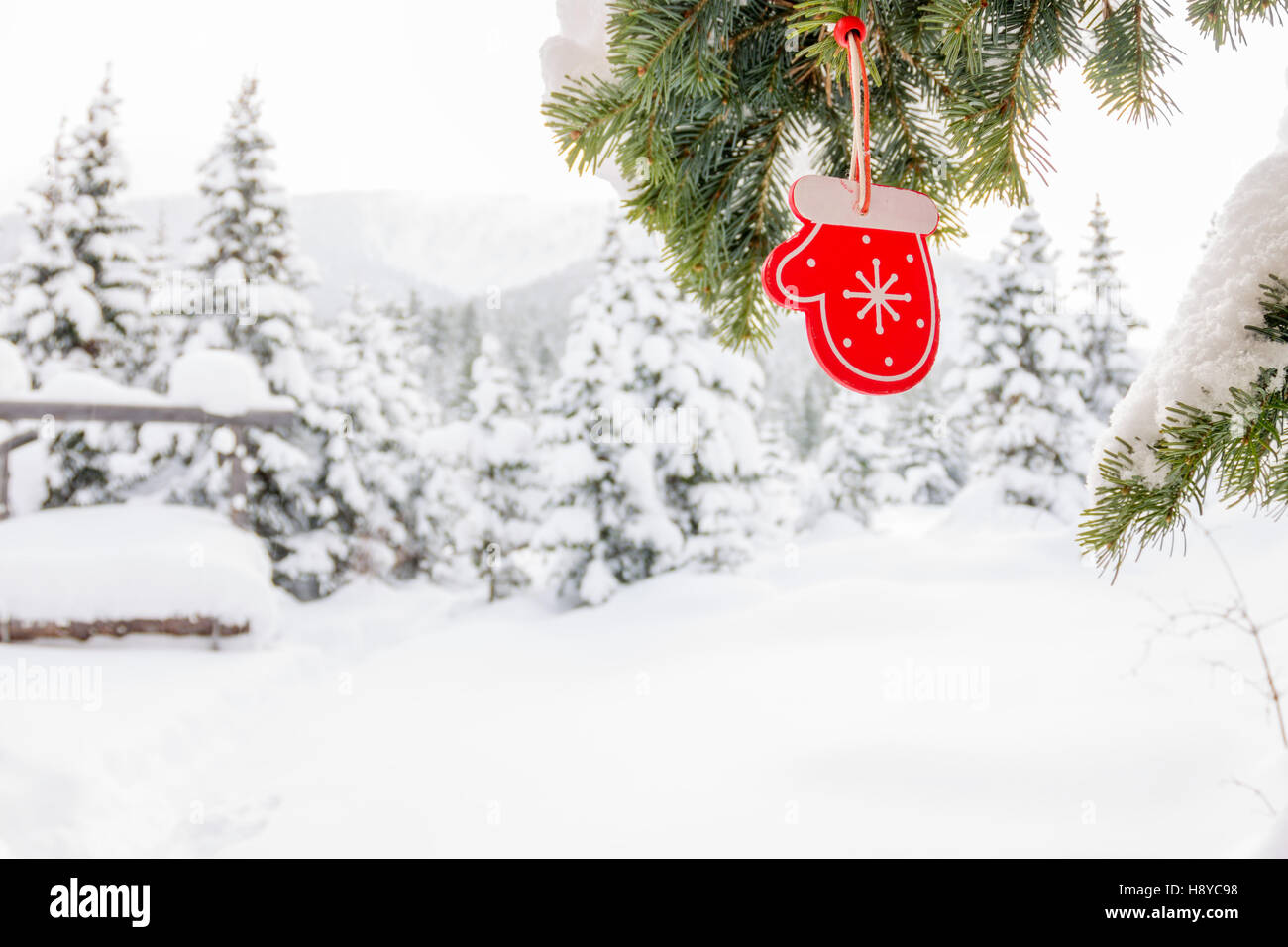 Mitten tree hi-res stock photography and images - Alamy