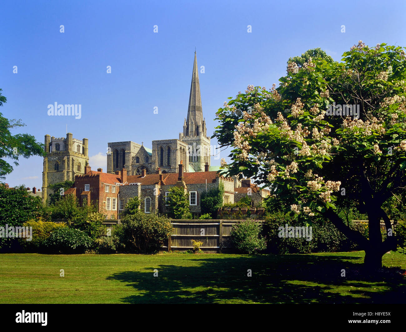 Chichester Cathedral. West Sussex. England. UK Stock Photo - Alamy