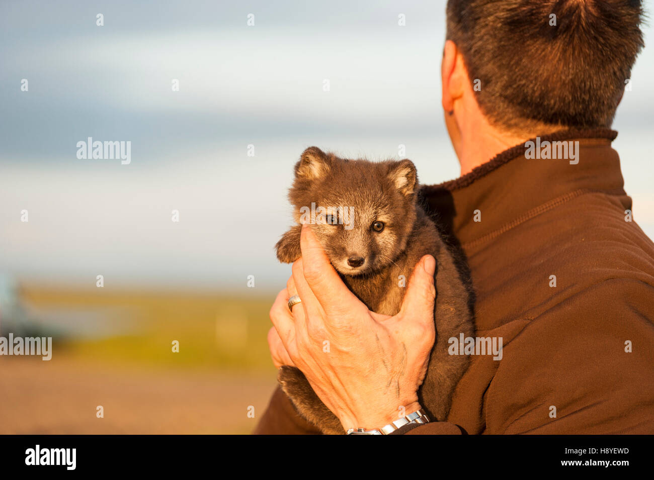 Human impact on arctic hi-res stock photography and images - Alamy