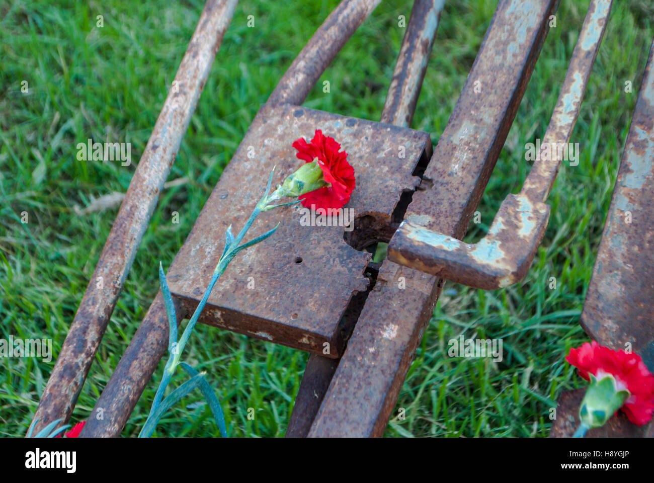 The annual celebrations of the Athens Polytechnic Uprising 17 November ...